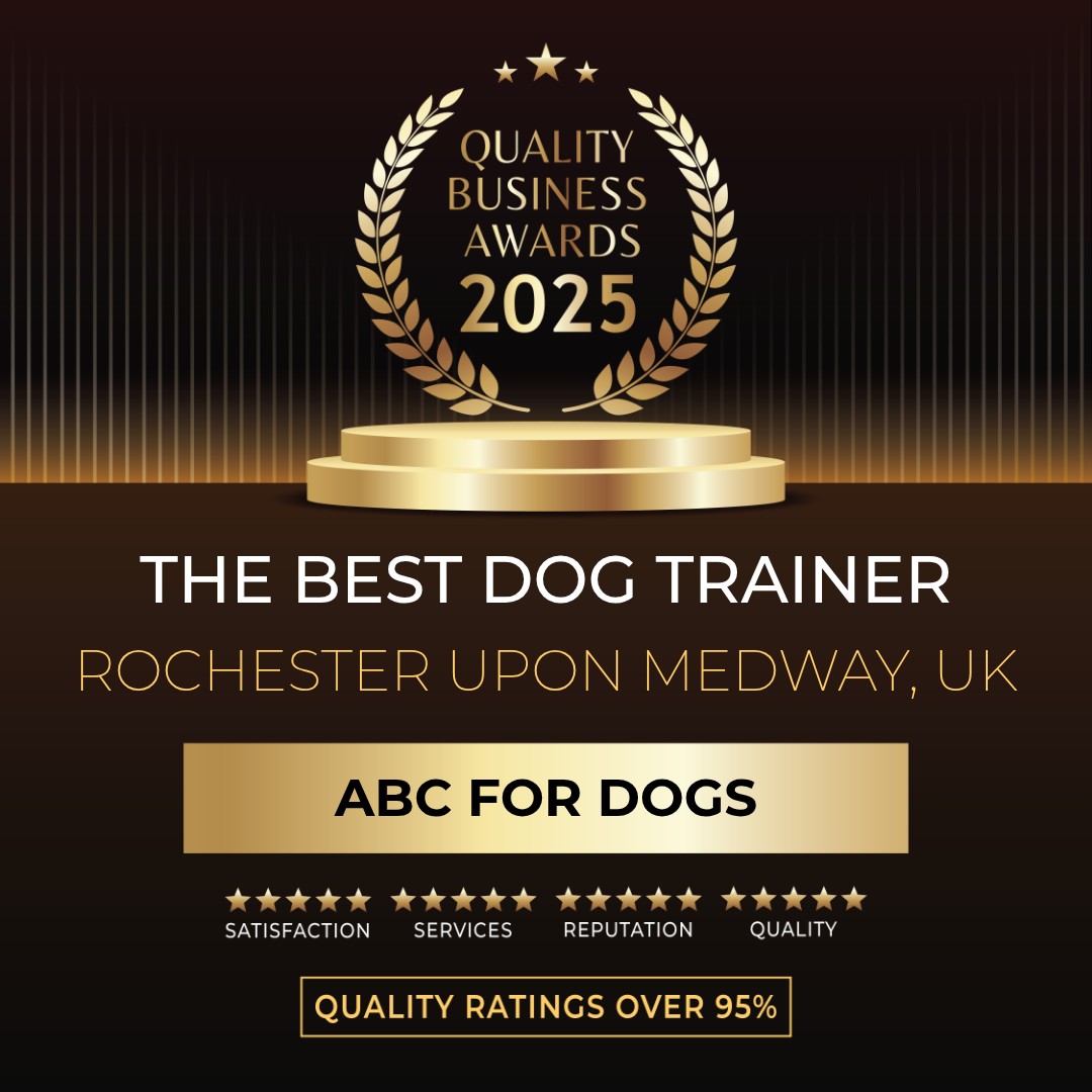 Top Dog Training & Behaviourist | Rochester, Kent | ABC For Dogs